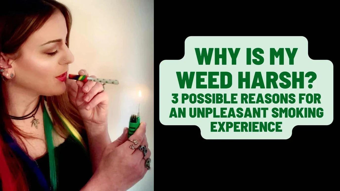 Why Is My Weed Harsh? | Causes & Fixes