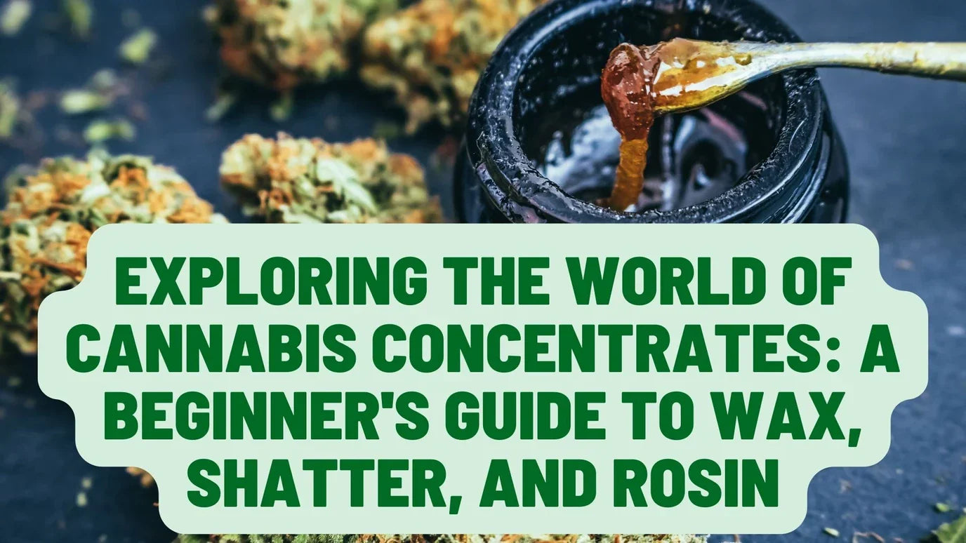 Cannabis Concentrates: Beginner's guide to wax, shatter, & rosin
